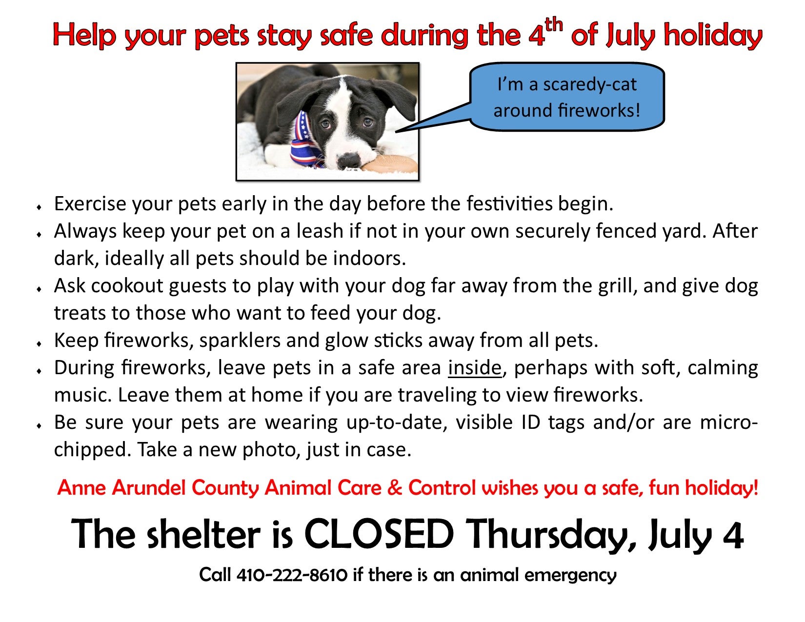Animal Care & Control Open Sunday, May 5, 2024 for Adoptions and ...